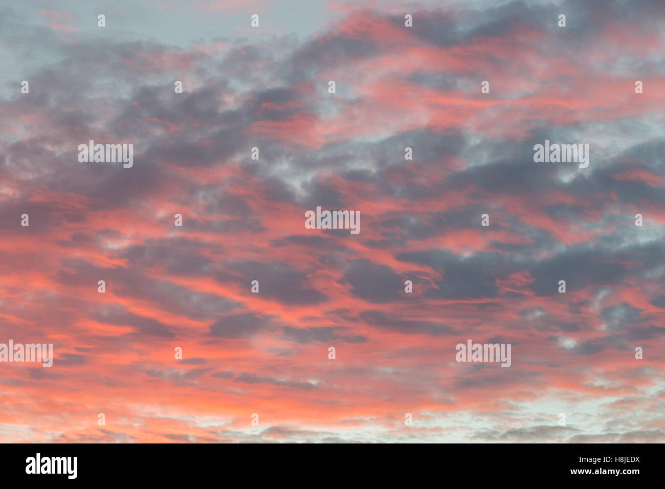 Intense shades of sunset Stock Photo - Alamy