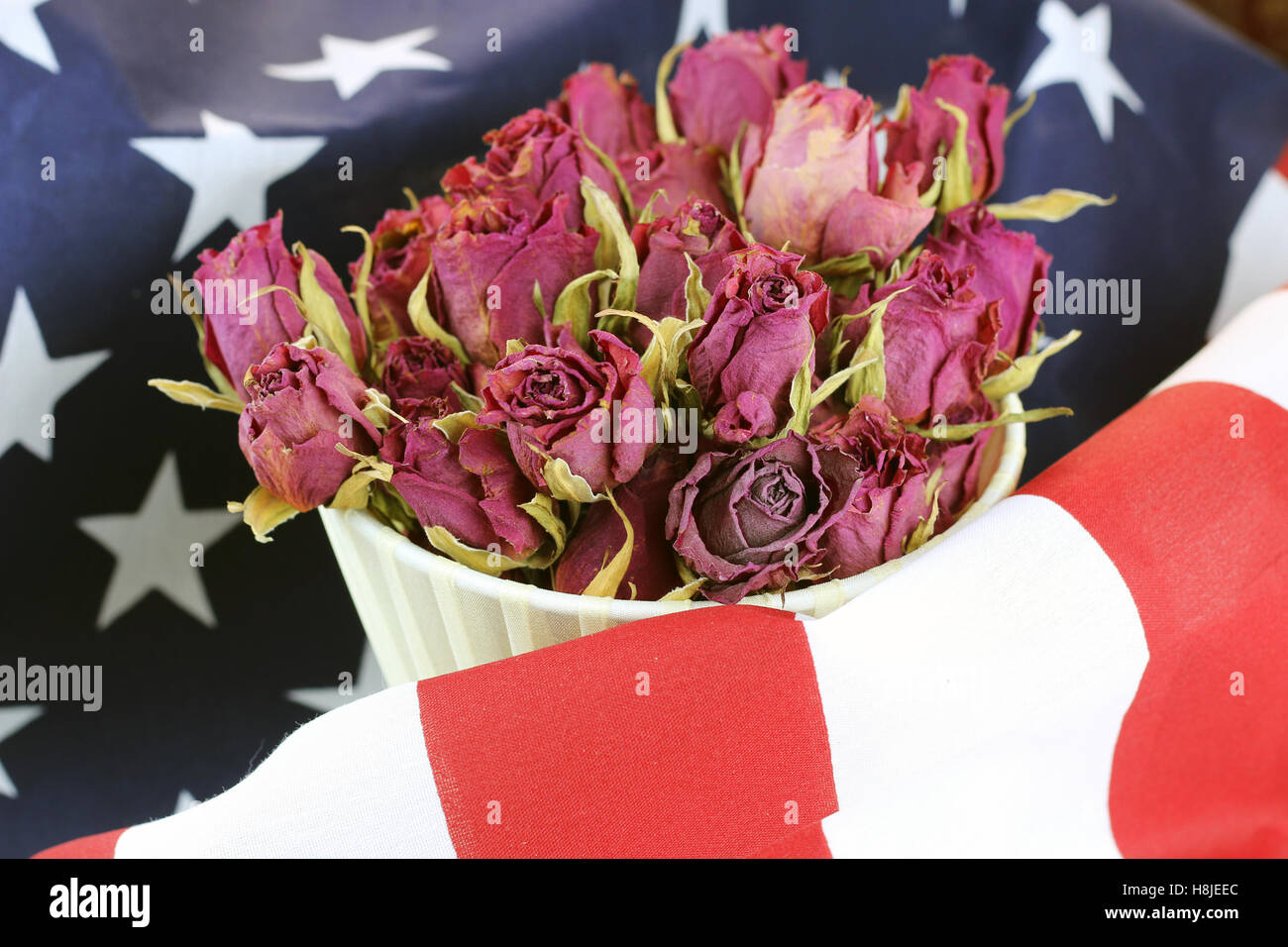 US flag rose flower Stock Photo - Alamy