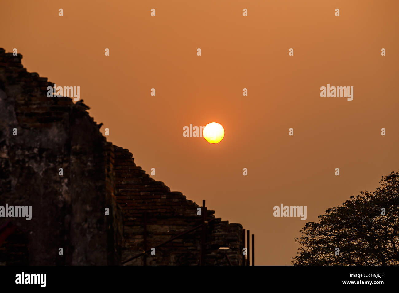 Brick wall sunset Stock Photo - Alamy