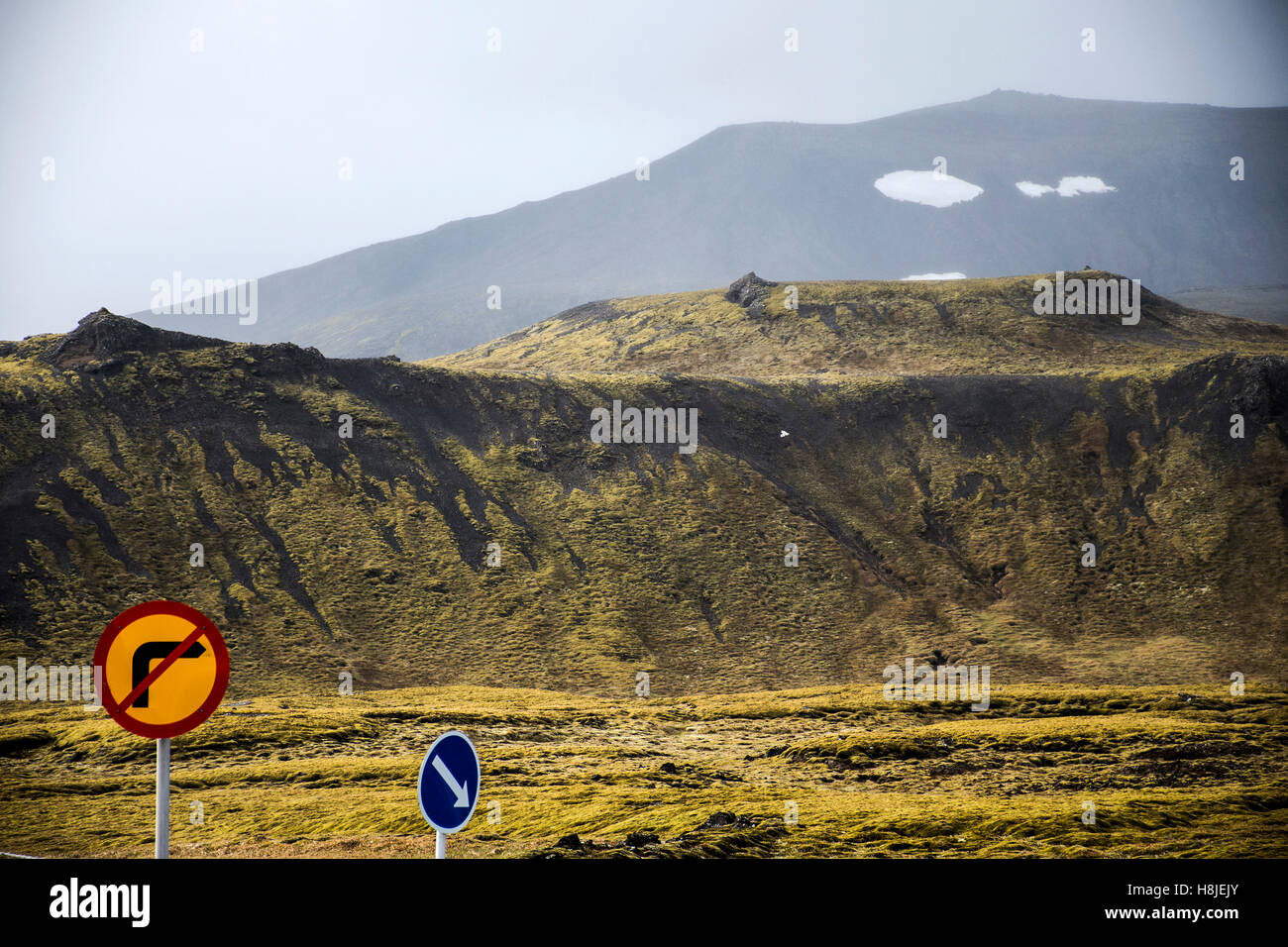 Street signs in Epic Landscape in Iceland with green grass and snow ...
