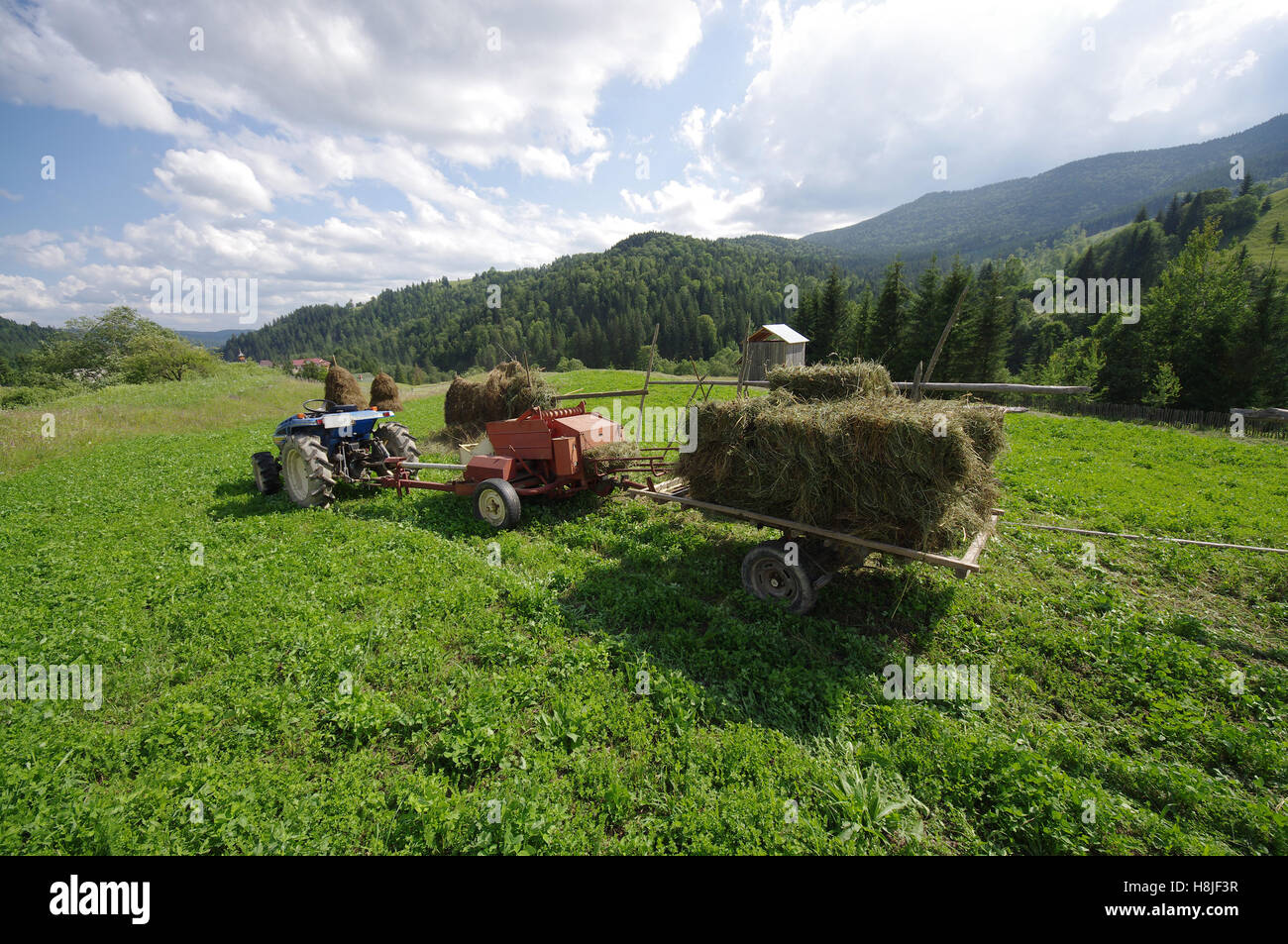 hay processing machine Stock Photo - Alamy