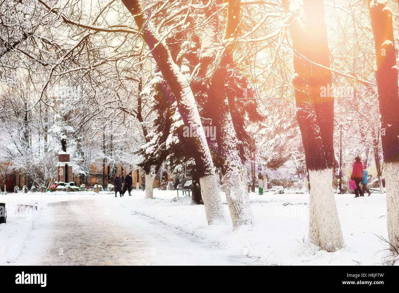 park alley tree way winter Stock Photo - Alamy