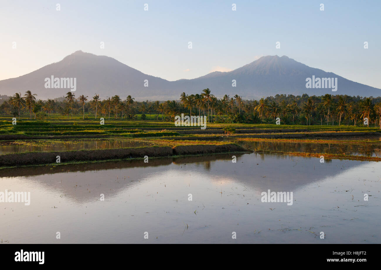 View of the Gunung Rante (left) the Gunung Ijen (small bump in the ...
