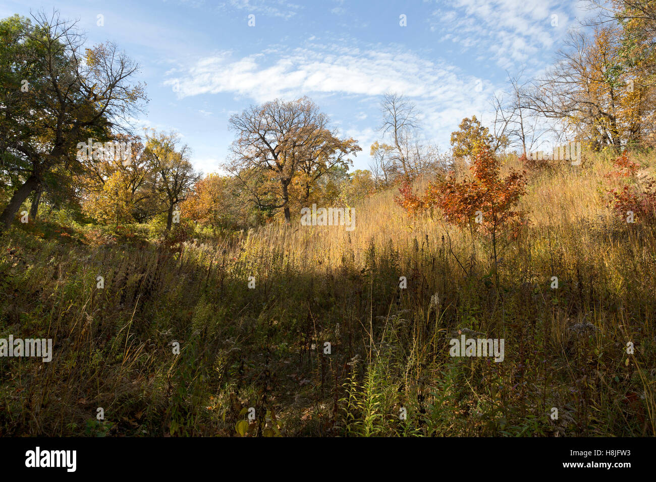 Winchell trail minnesota hi-res stock photography and images - Alamy