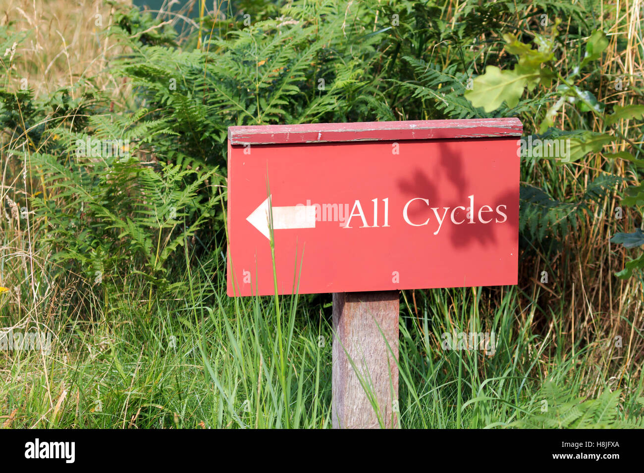 Sunlit Red All Cycles direction sign Stock Photo - Alamy