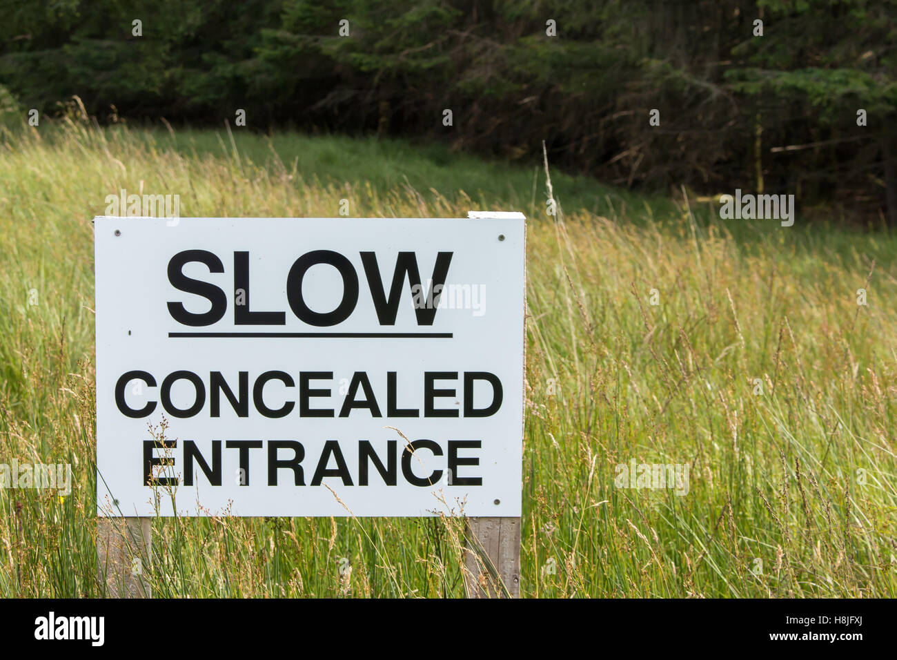 Concealed entrance hi-res stock photography and images - Alamy