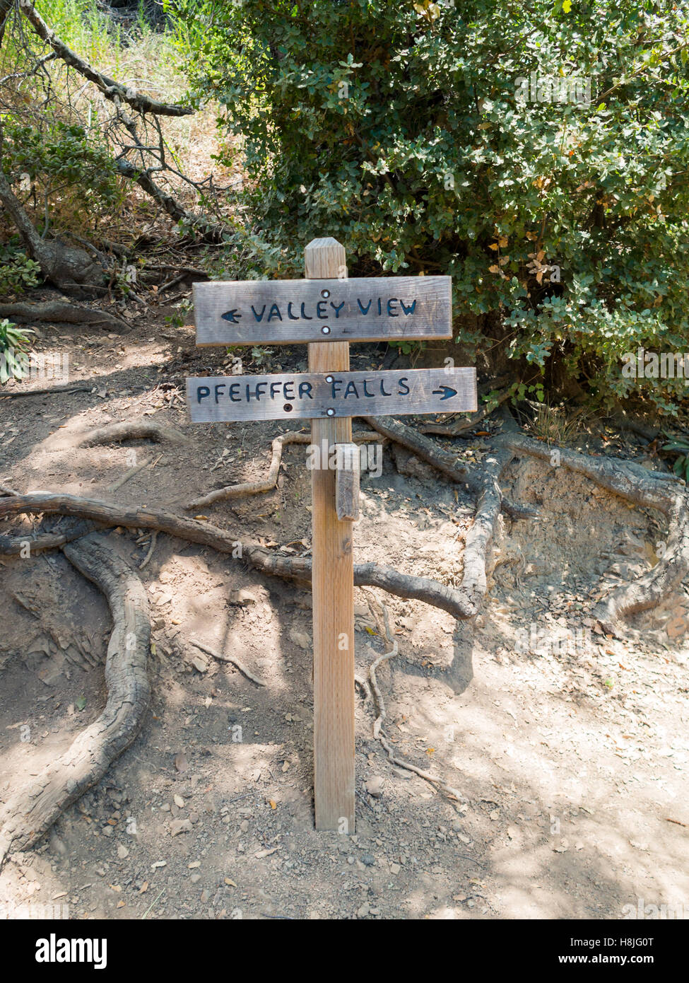 Pfeiffer Falls & Valley View trail Stock Photo - Alamy