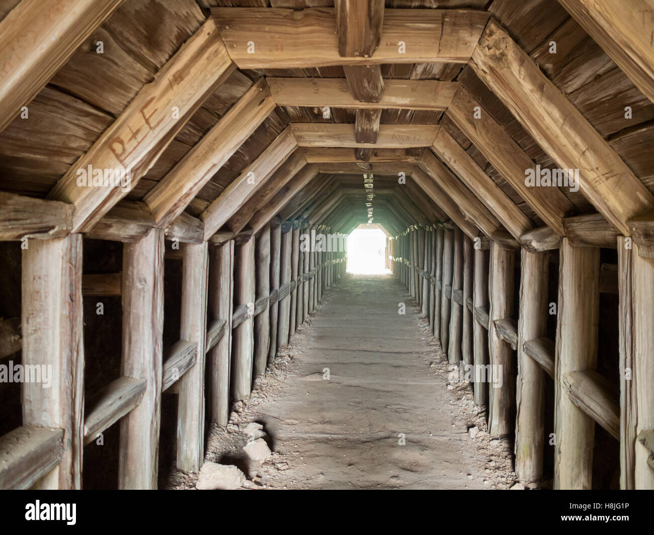Wooden Tunnel High Resolution Stock Photography and Images - Alamy