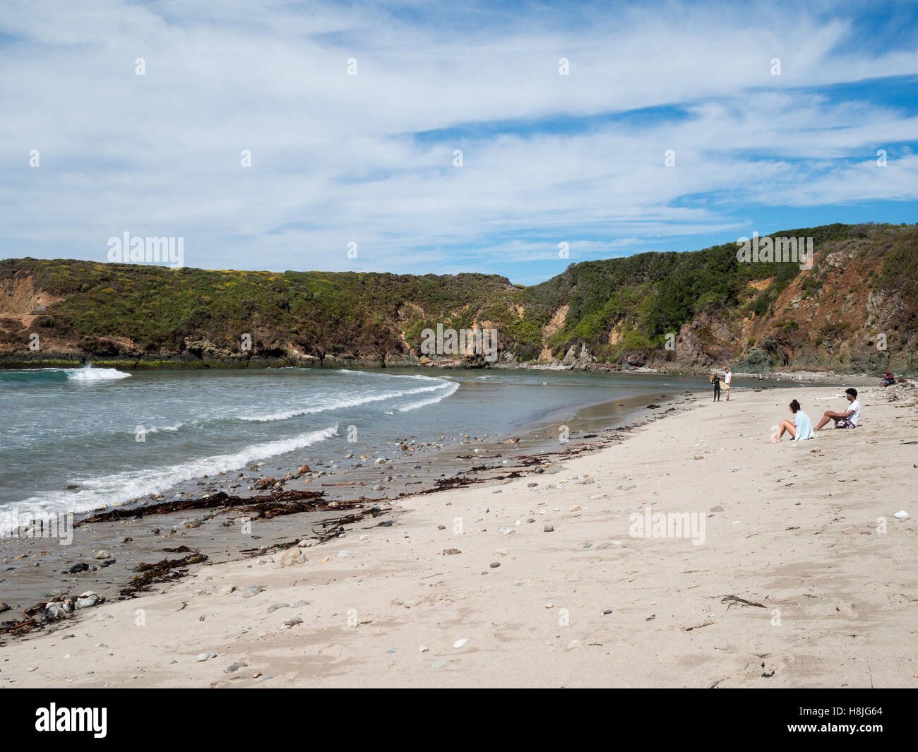 Sand Dollar Beach in Big Sur Stock Photo - Alamy