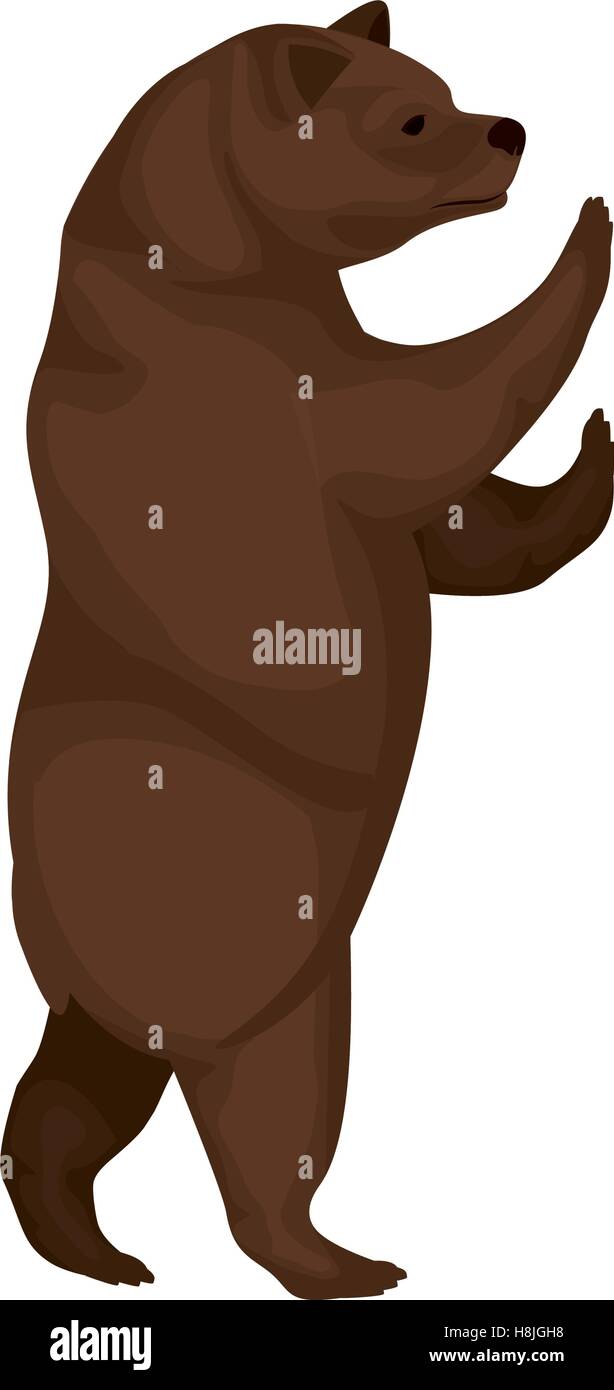 Standing Grizzly Bear Vector