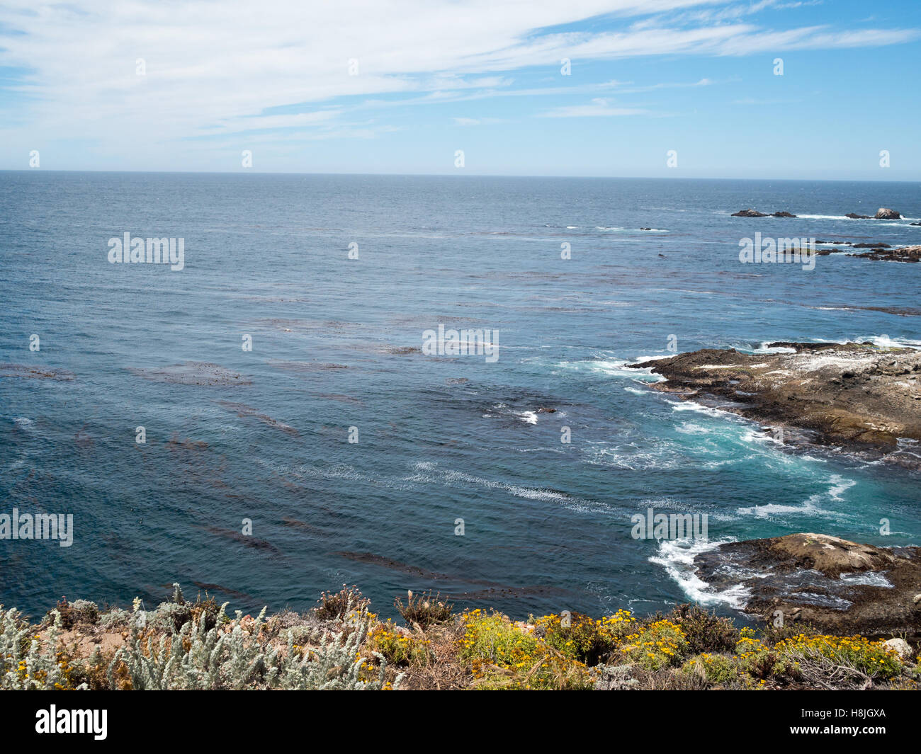 Point lobos state park hi-res stock photography and images - Alamy