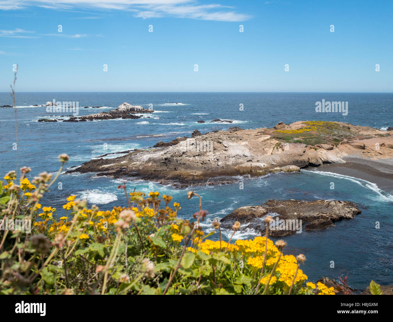 Point lobos nature reserve hi-res stock photography and images - Alamy