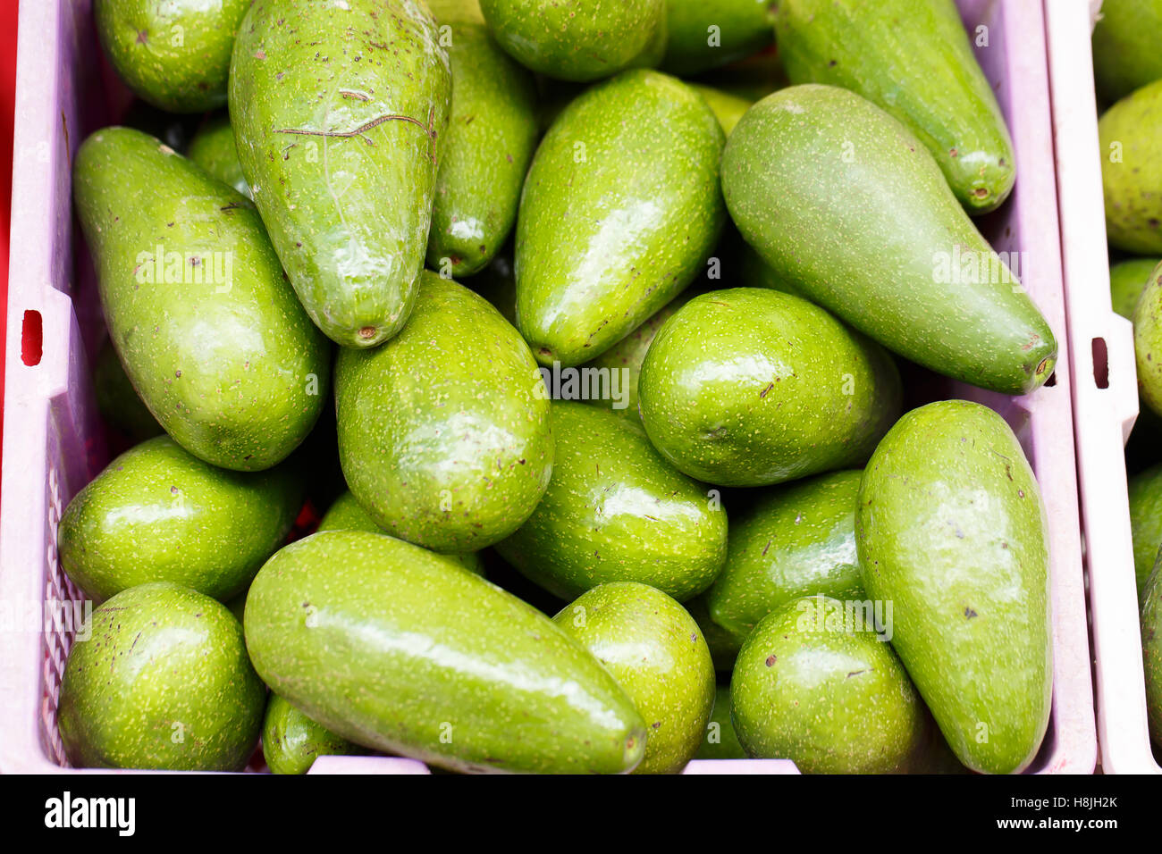 Bunch of green Avocados Stock Photo - Alamy