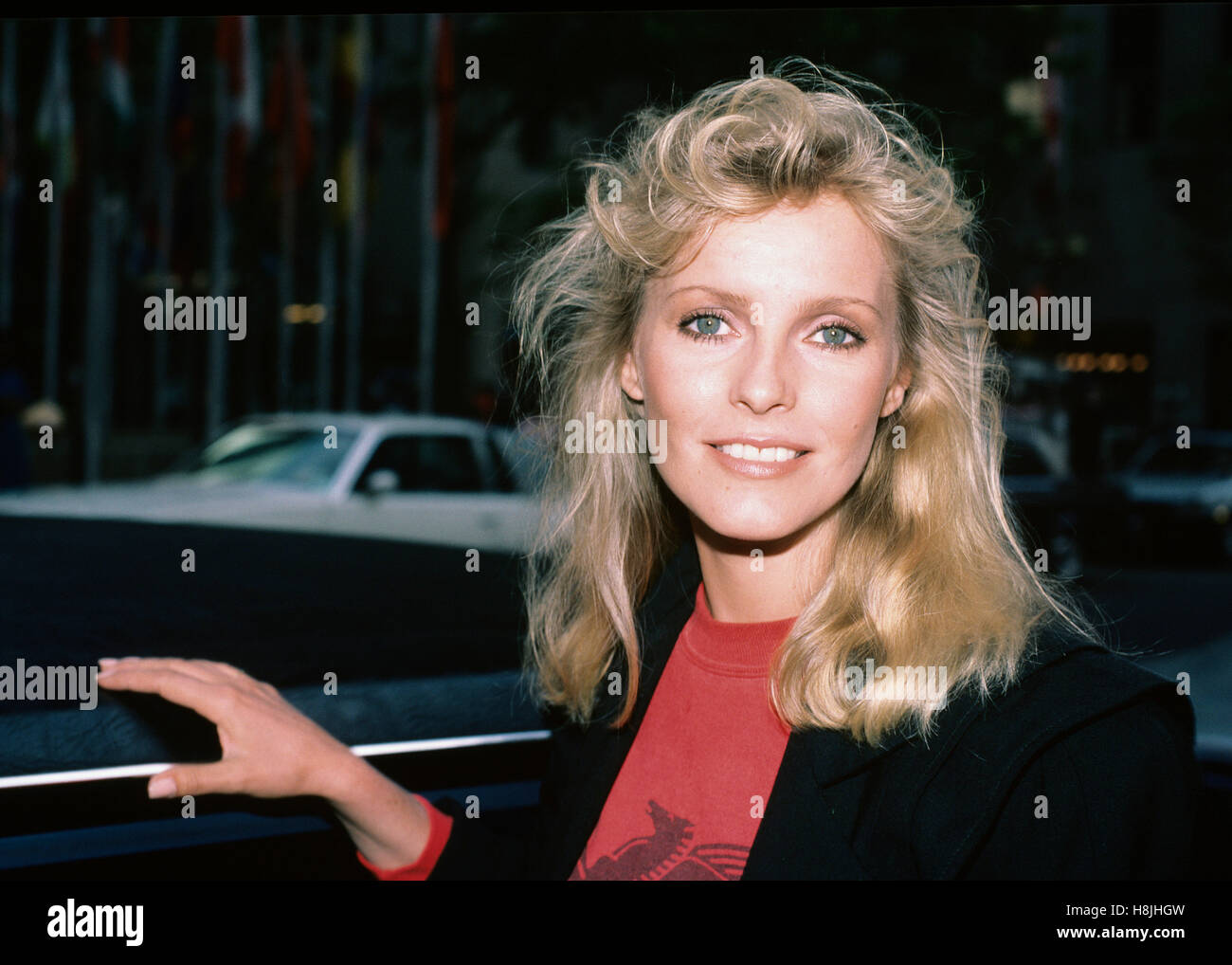 Cheryl Ladd pictured May of 1985. © RTMcbride / MediaPunch Stock Photo ...