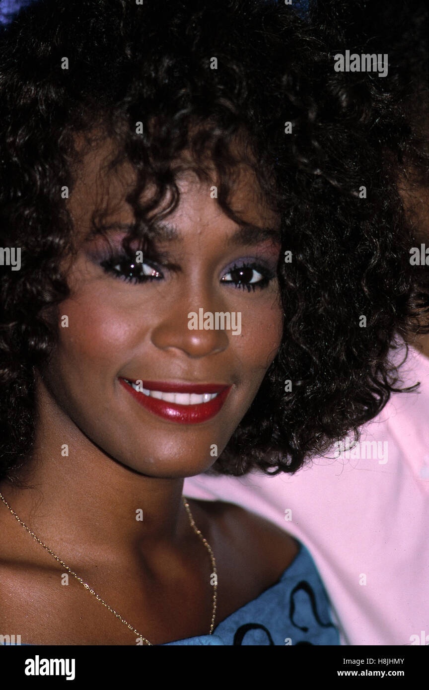 Whitney Houston reveives the United Negro College Fund Award in New ...