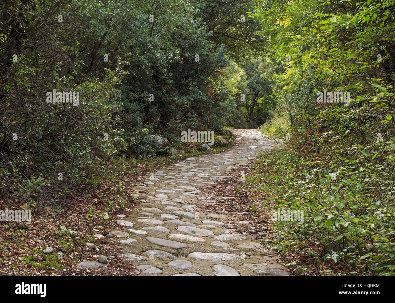 pedestrian walkway in Meteora, Greece Stock Photo - Alamy
