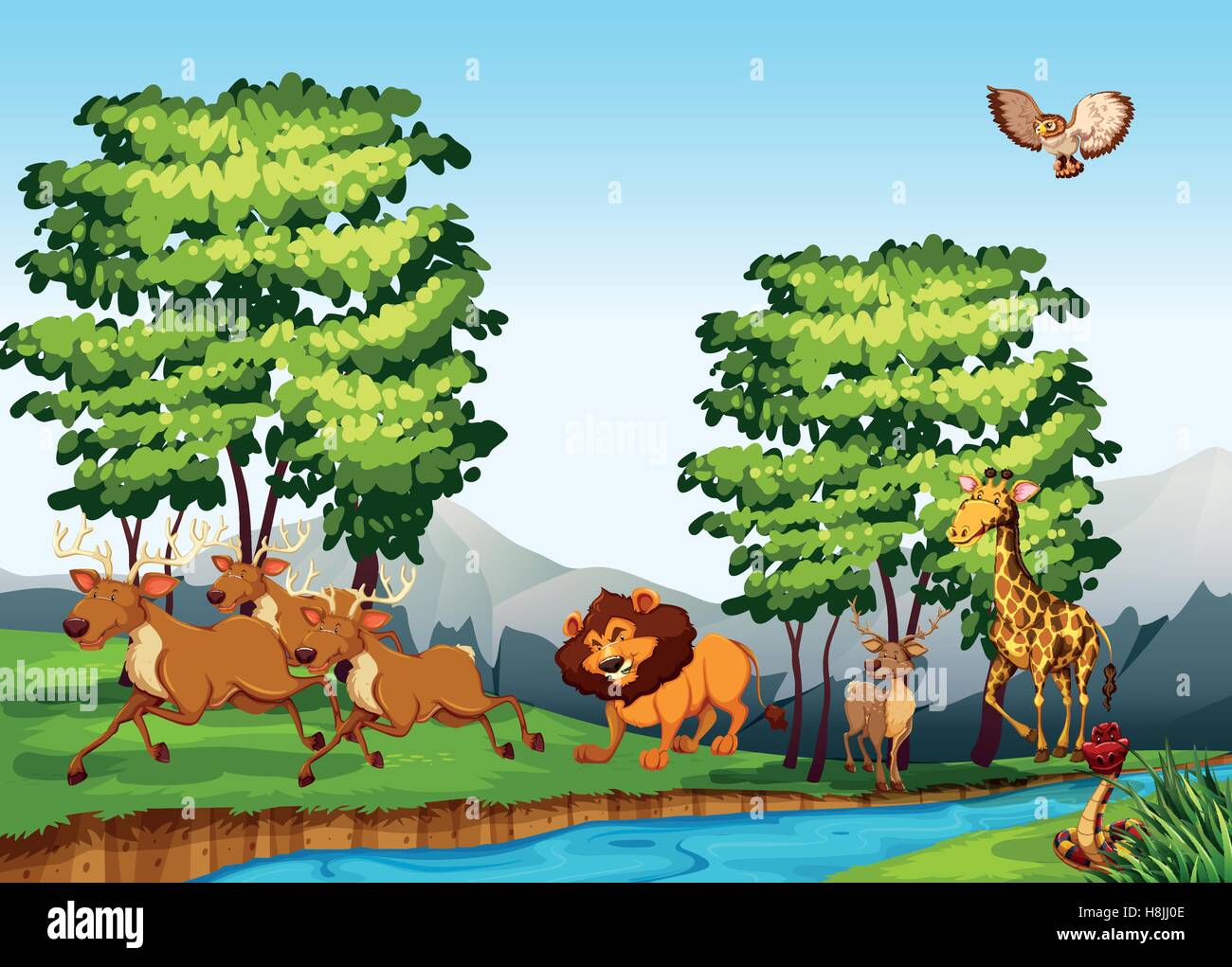 Wild animals in the forest at daytime illustration Stock Vector Image ...