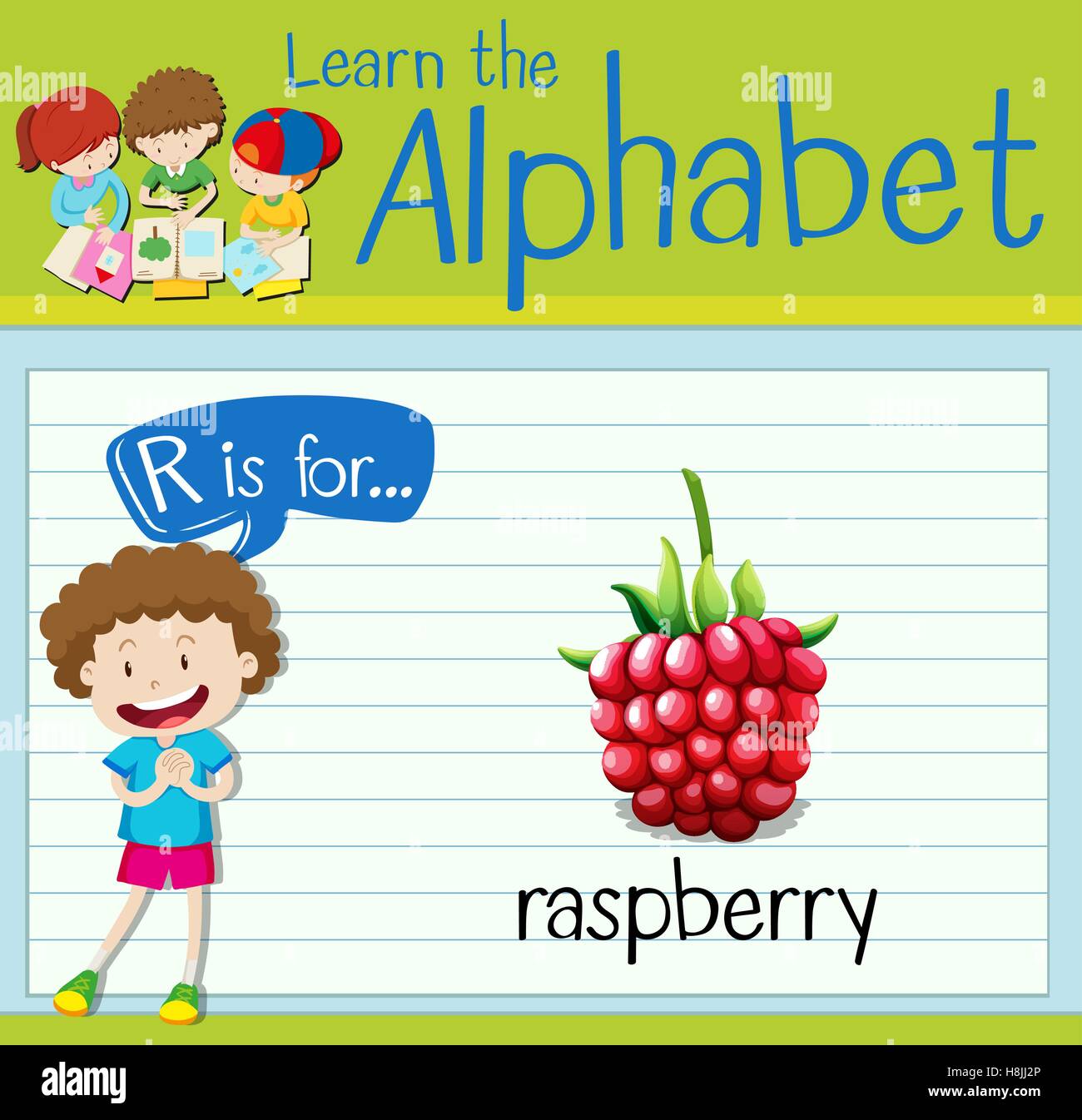 Flashcard letter R is for raspberry illustration Stock Vector Image ...