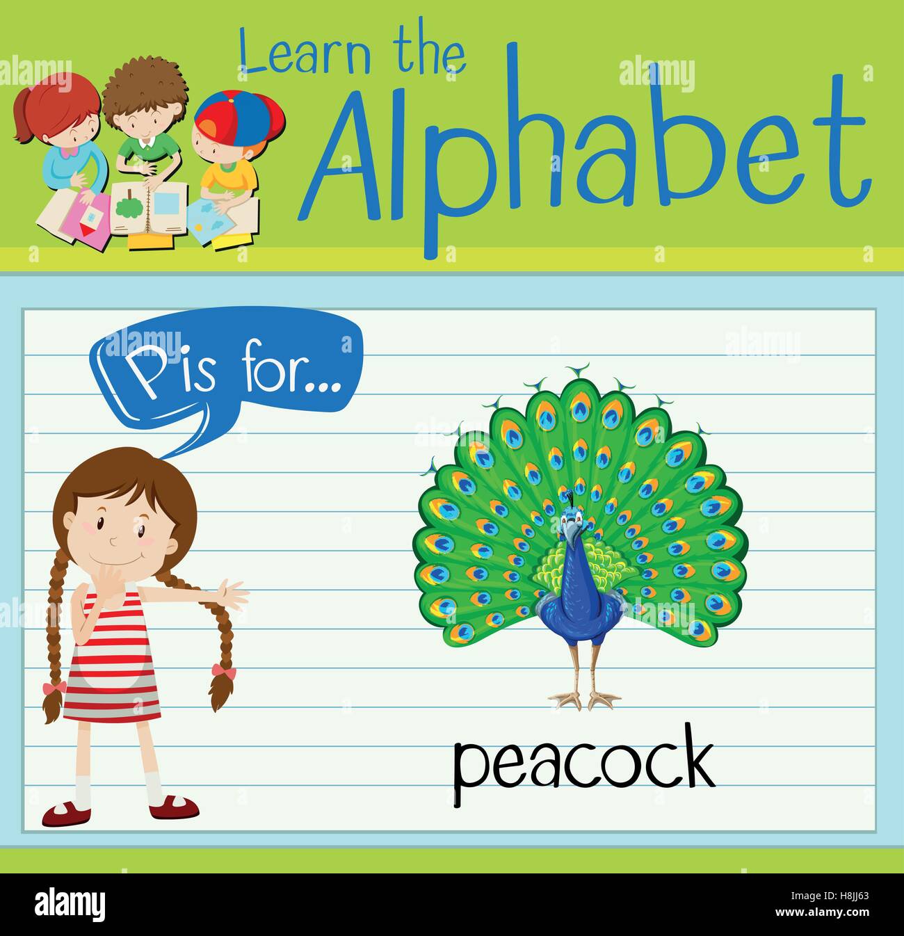 Flashcard letter P is for peacock illustration Stock Vector Image & Art ...