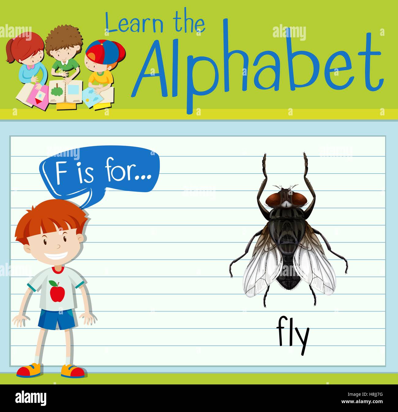 Flashcard letter F is for fly illustration Stock Vector Image & Art - Alamy