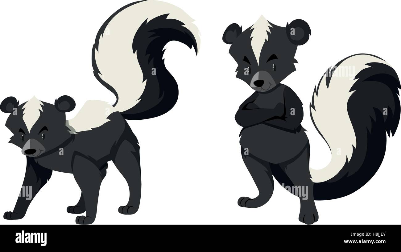 Two skunks on white background illustration Stock Vector Image & Art ...