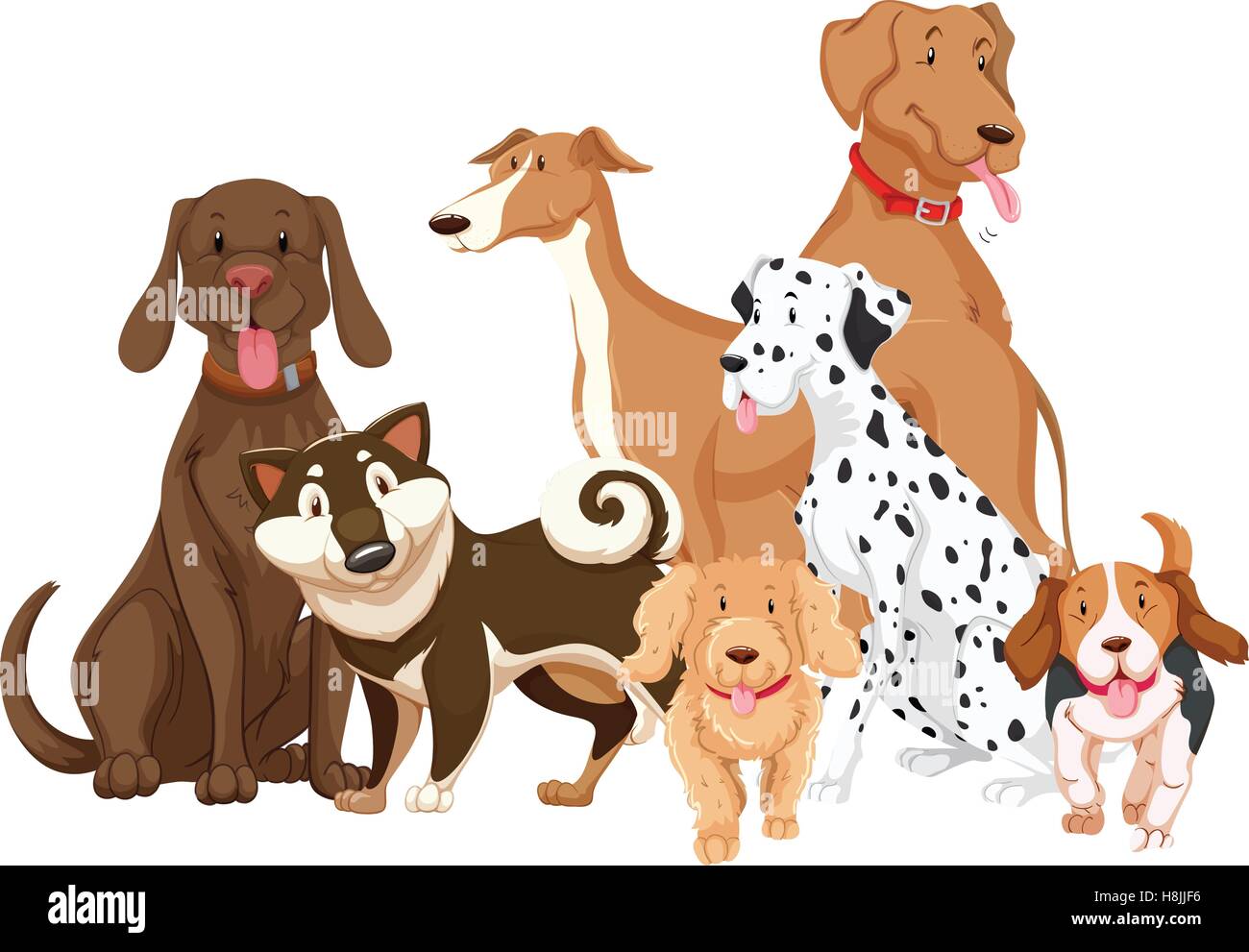 Different types of dogs illustration Stock Vector Image & Art - Alamy