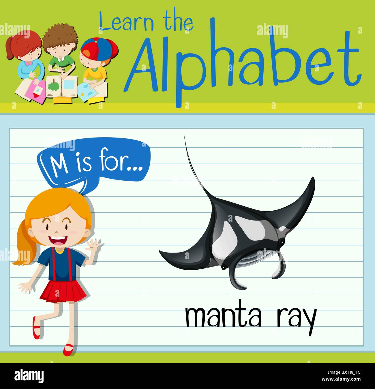 Flashcard letter m is for manta ray illustration Stock Vector Image ...