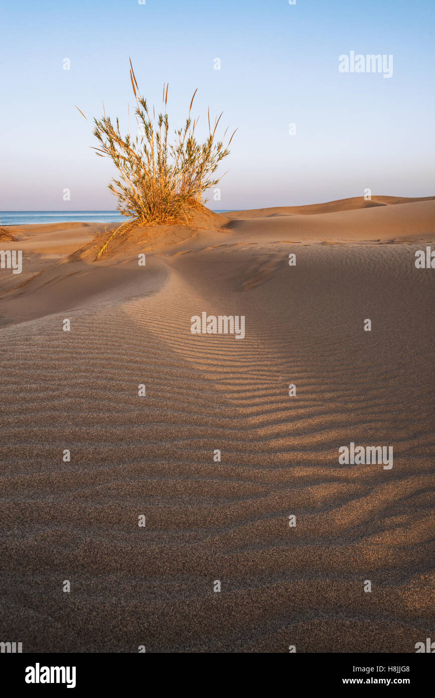 amazing desert view in sunset time Stock Photo - Alamy