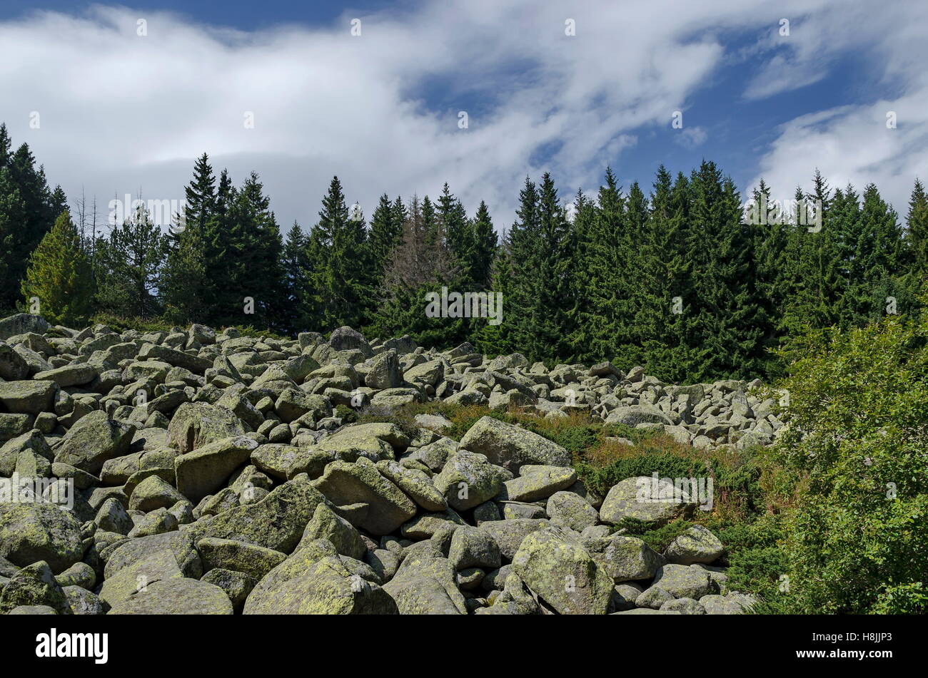 Unique stone river big granite stones on rocky river in the Vitosha ...