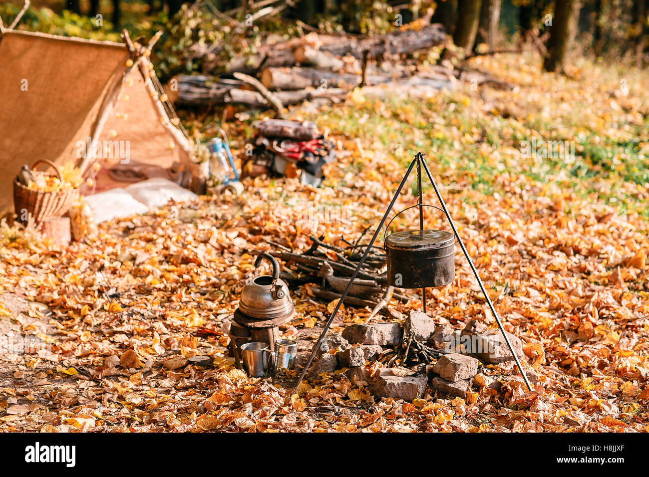 Dinner cooks in a large pot over an open fire. autumn forest Stock ...