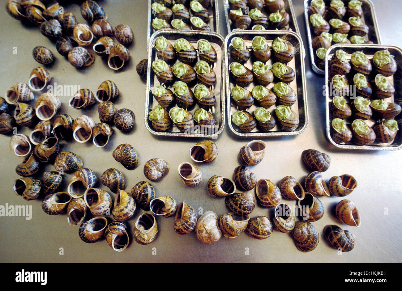 Cooking snails garlic butter hi-res stock photography and images - Alamy