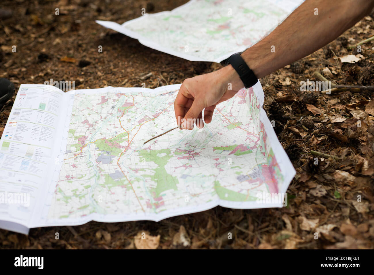 A group of hikers uses map and compass to navigate through the forest ...