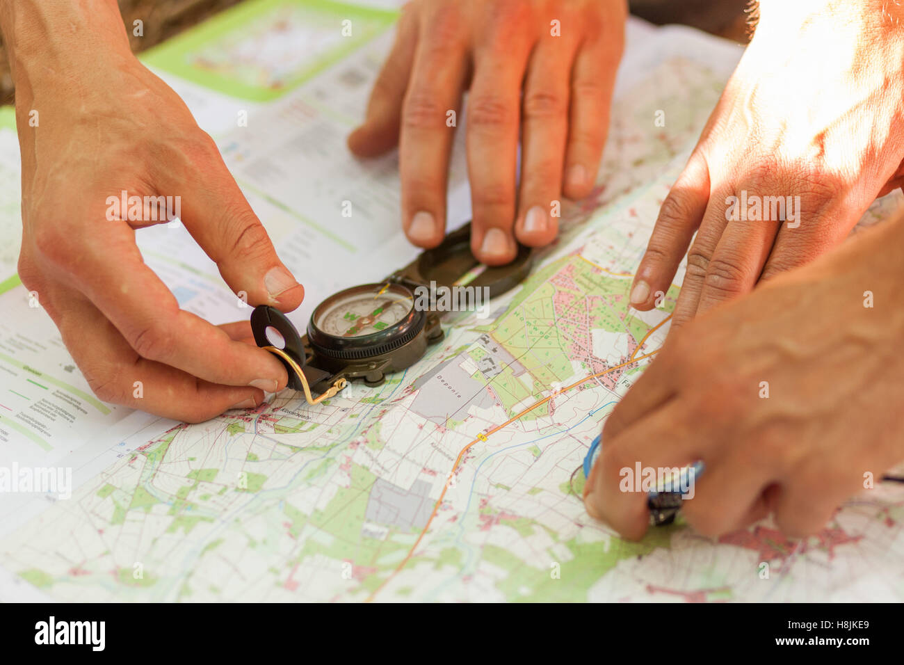 A group of hikers uses map and compass to navigate through the forest ...
