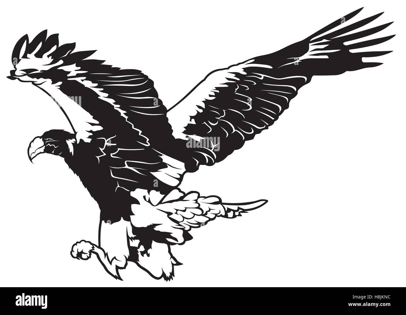 Fledgling eagle wings Stock Vector Images - Alamy