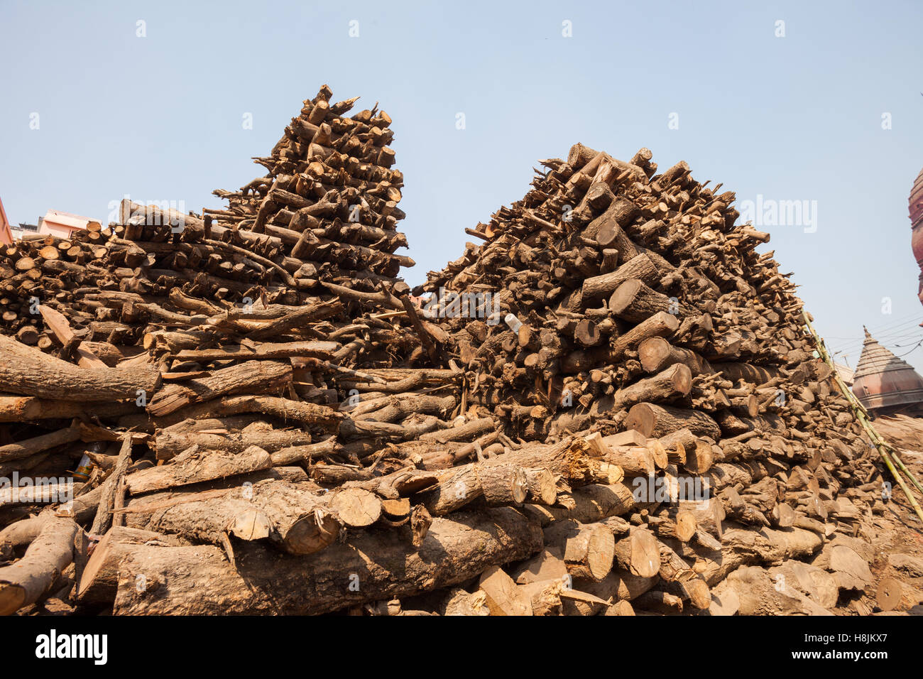 Heap of dead bodies hi-res stock photography and images - Alamy