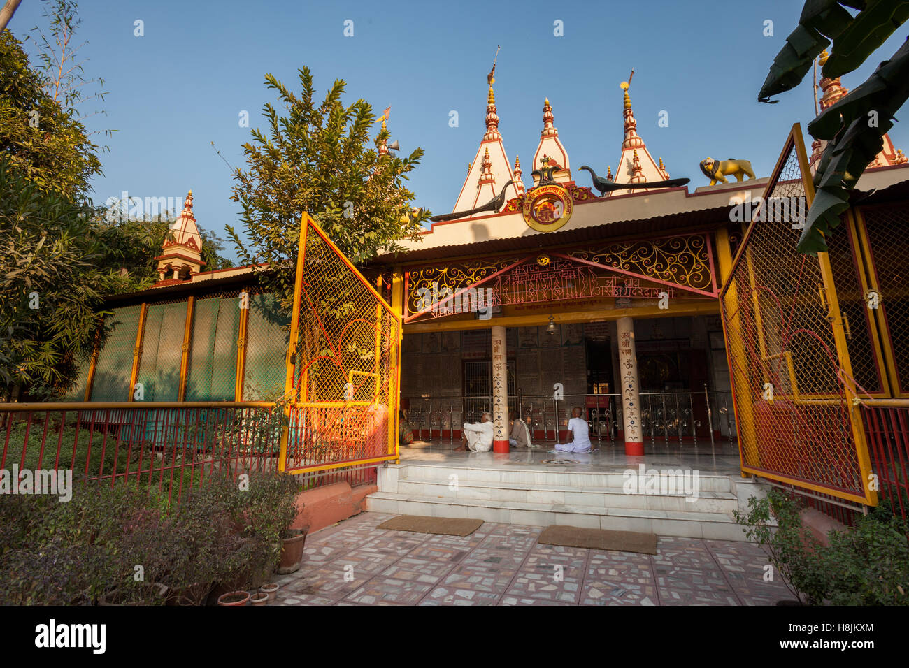Varanasi india hindu monkey hi-res stock photography and images - Alamy