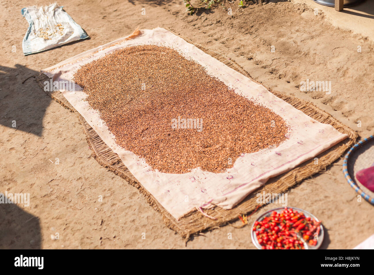 Pulses drying in the sun in Nepal Stock Photo - Alamy