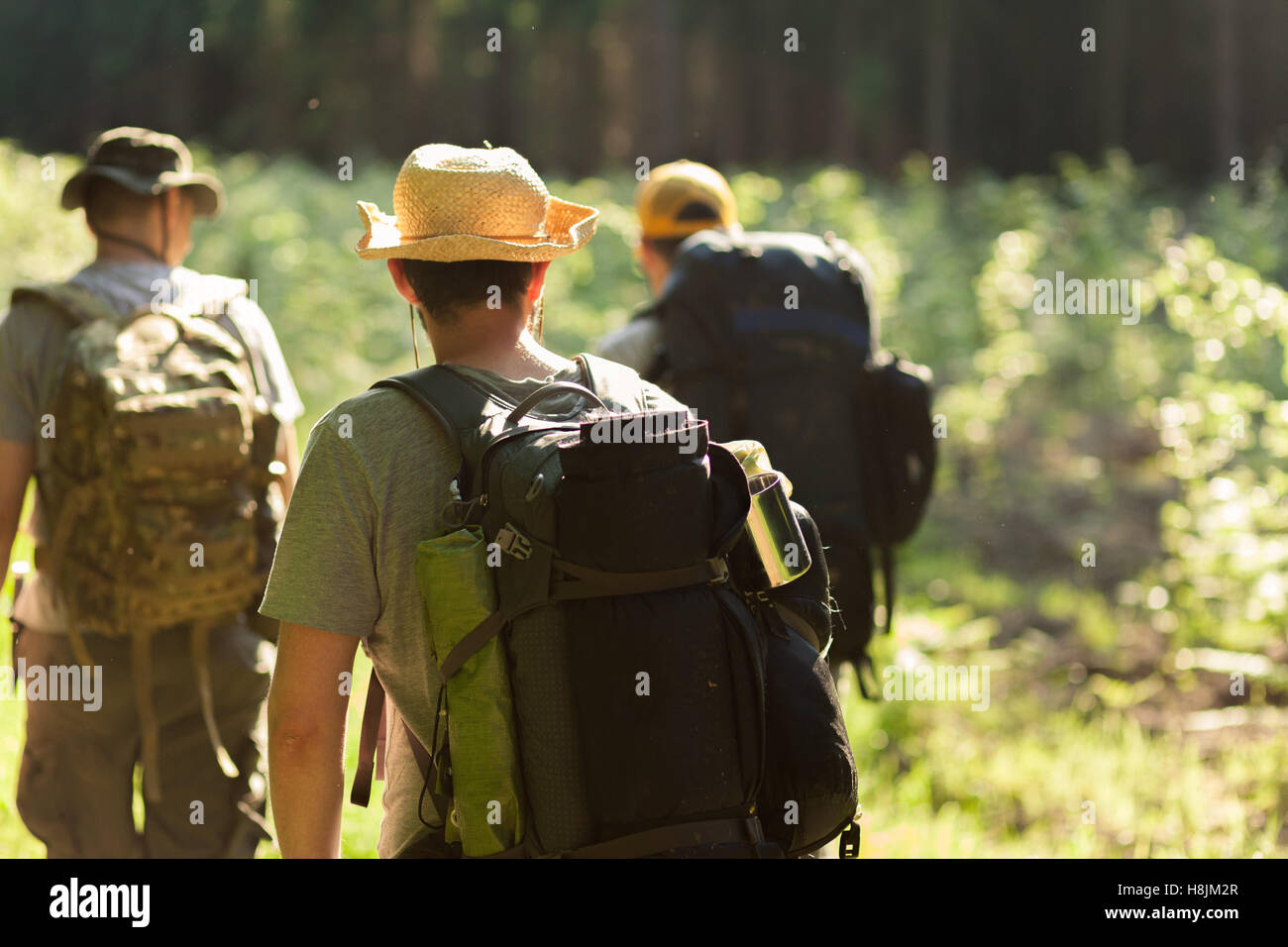 Hikers walk through woods hi-res stock photography and images - Alamy