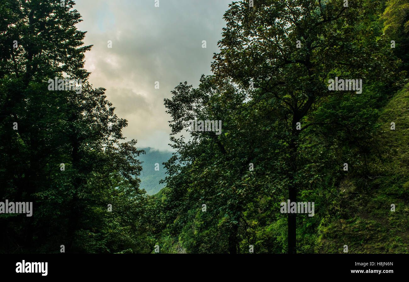 Cloud jungle hi-res stock photography and images - Alamy