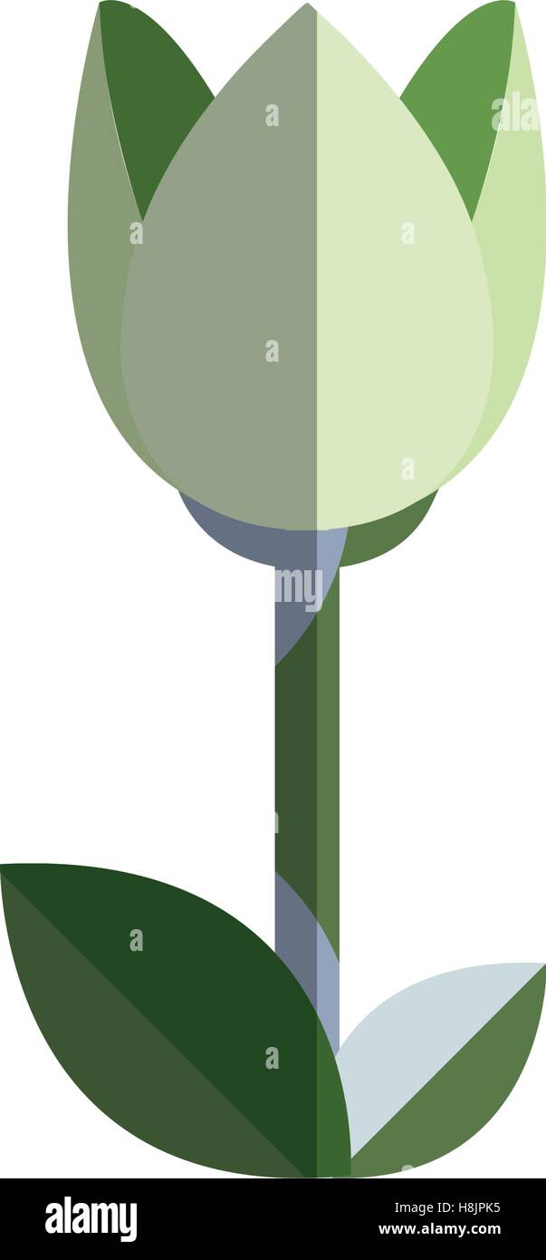 Singular flower bloom Stock Vector Images - Alamy