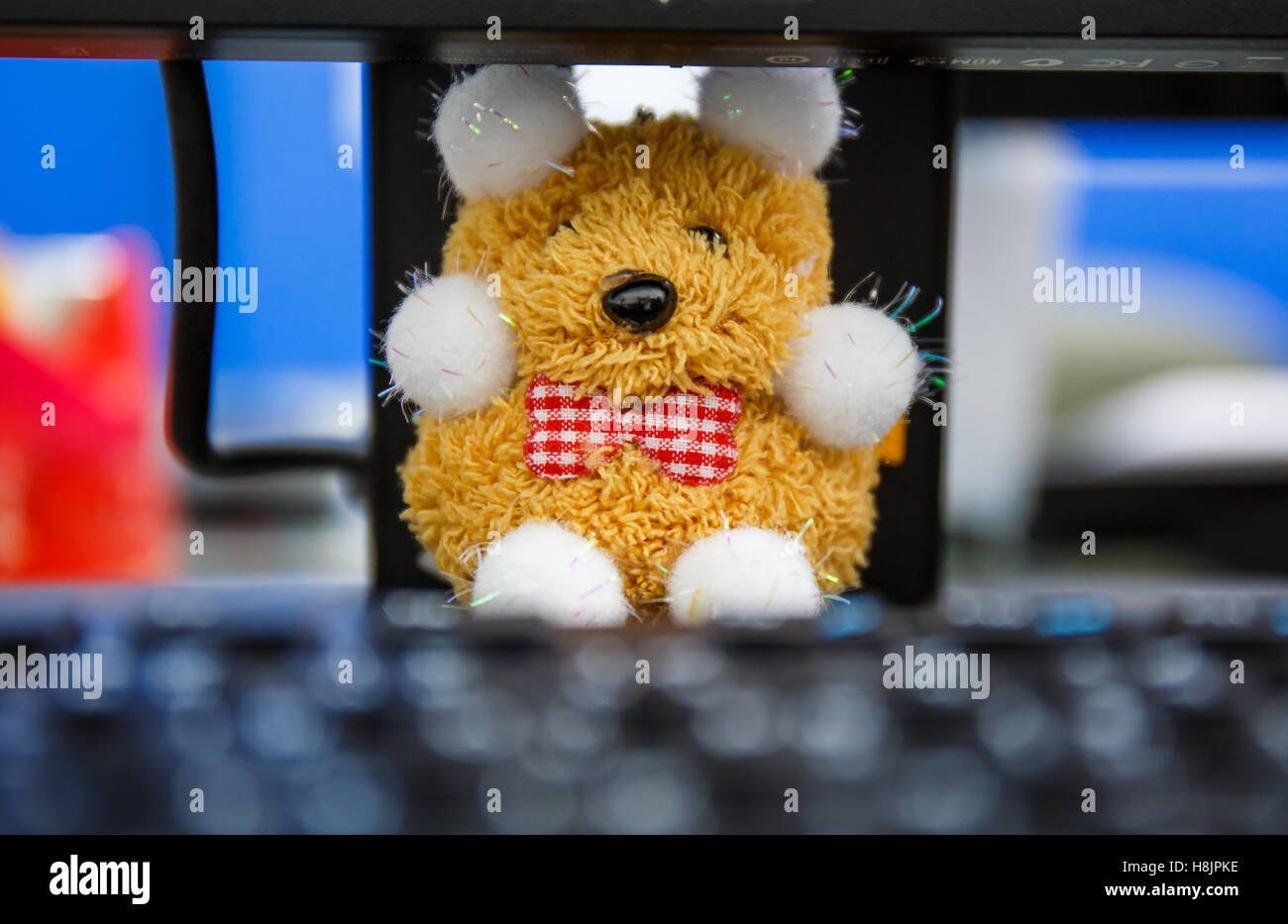 toy teddy bear on table Stock Photo - Alamy