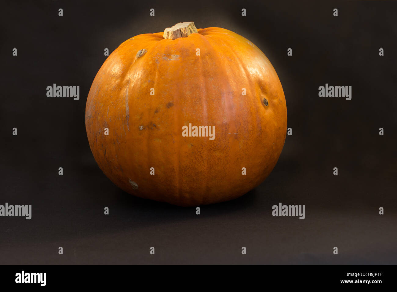 Close up of an uncarved pumpkin Stock Photo - Alamy
