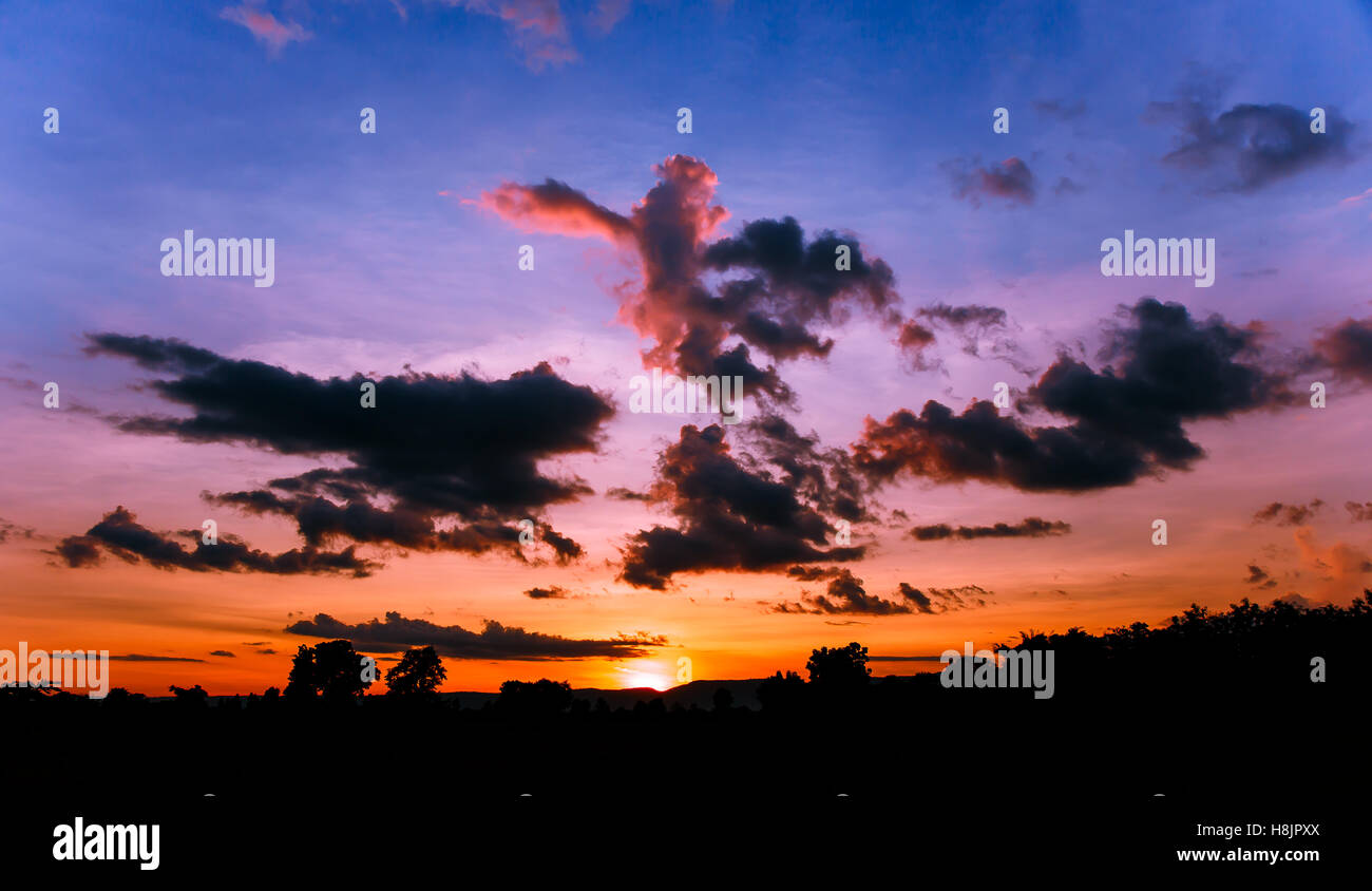 Bright evening sunny sunset in hi-res stock photography and images - Alamy
