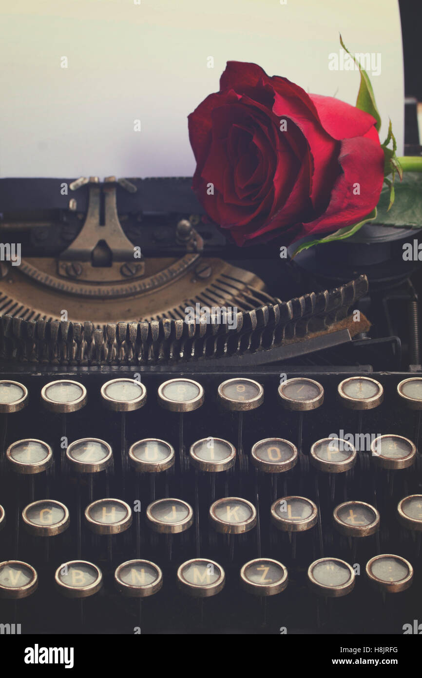 red rose on typewriter Stock Photo - Alamy