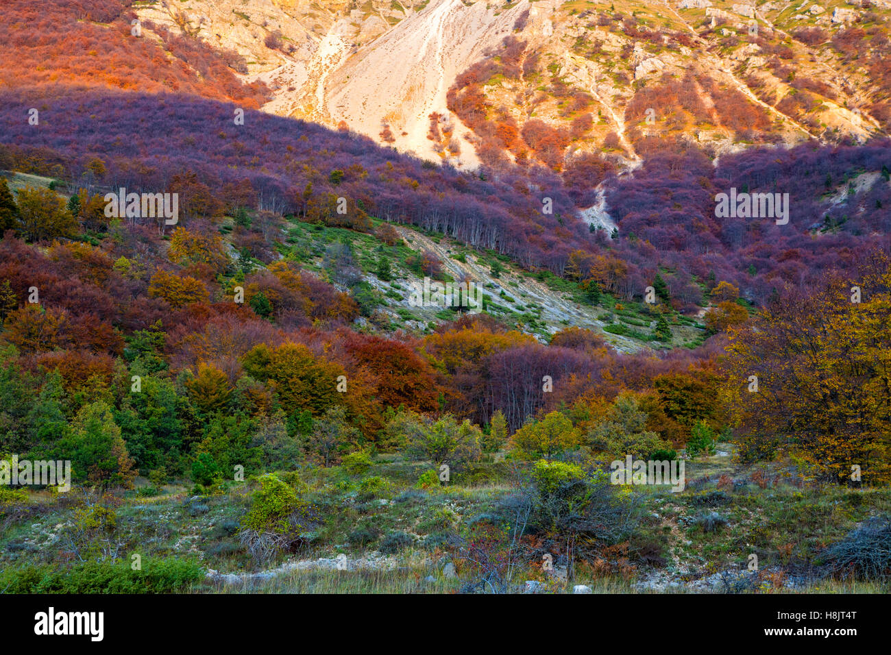 Autumn colors in Abruzzo (L'Aquila, Italy) - Landscape Stock Photo - Alamy