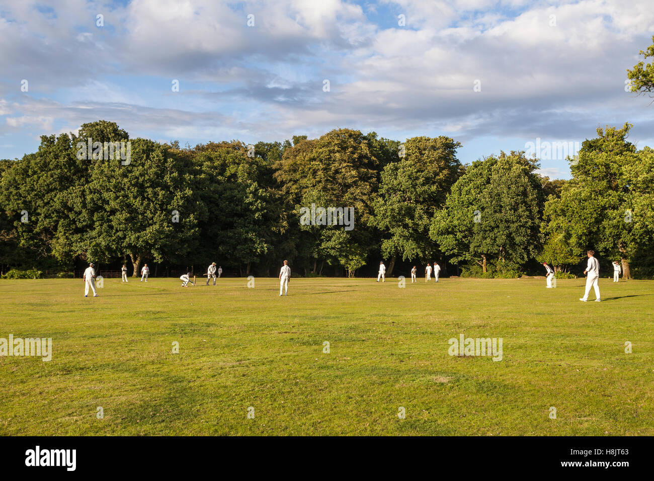 Landford hi-res stock photography and images - Alamy