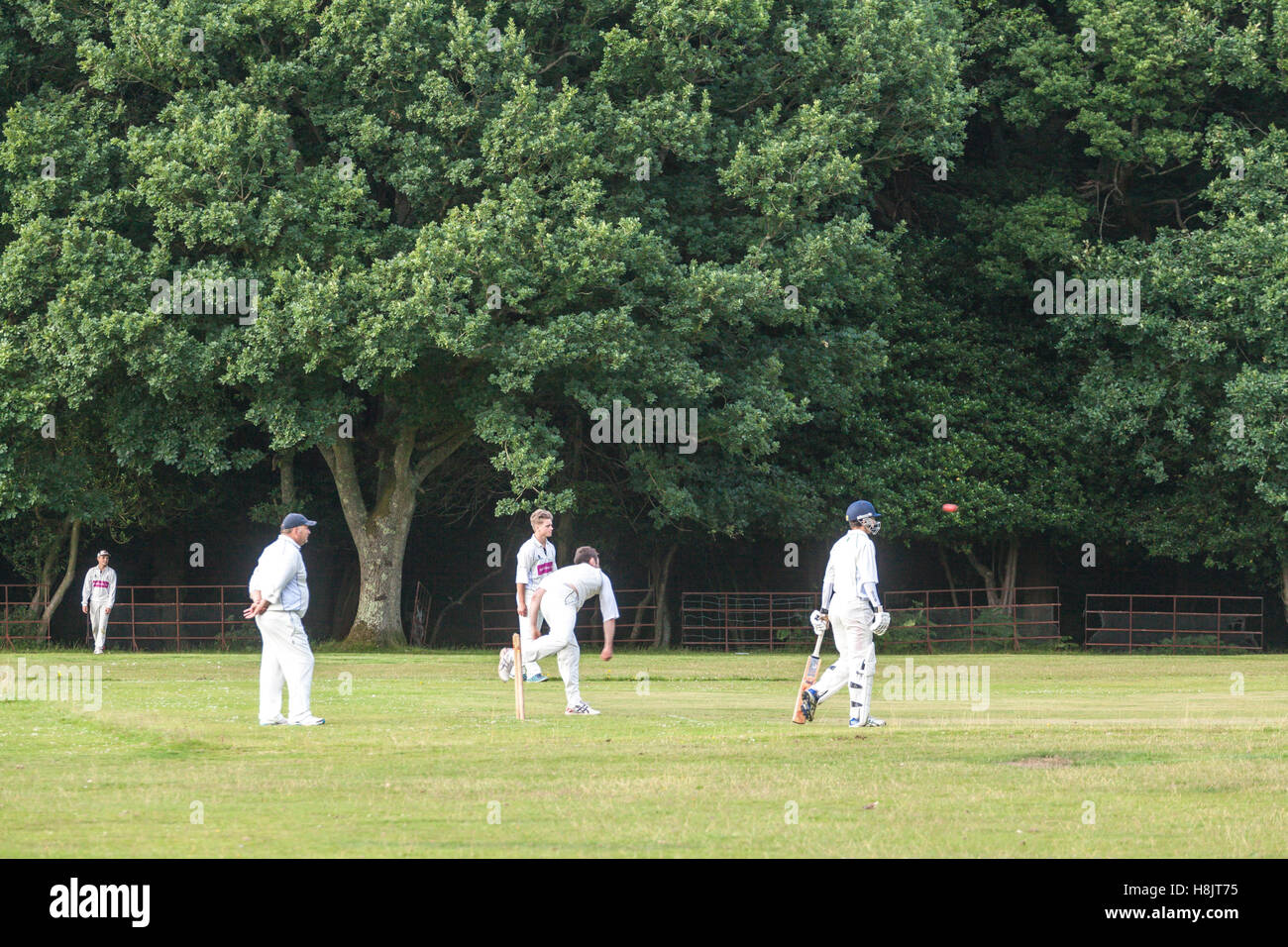 Landford hi-res stock photography and images - Alamy