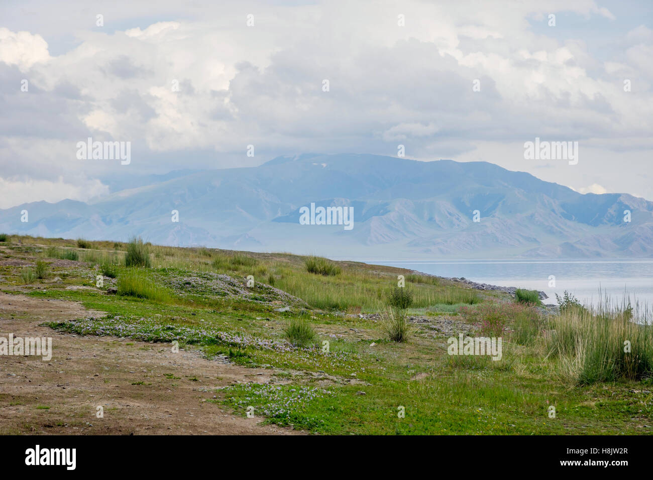 Xinjiang hi-res stock photography and images - Alamy