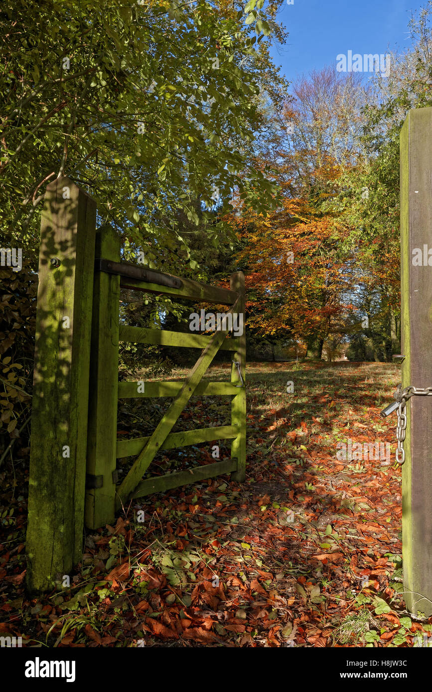 A gate into a wood in autumn Stock Photo - Alamy