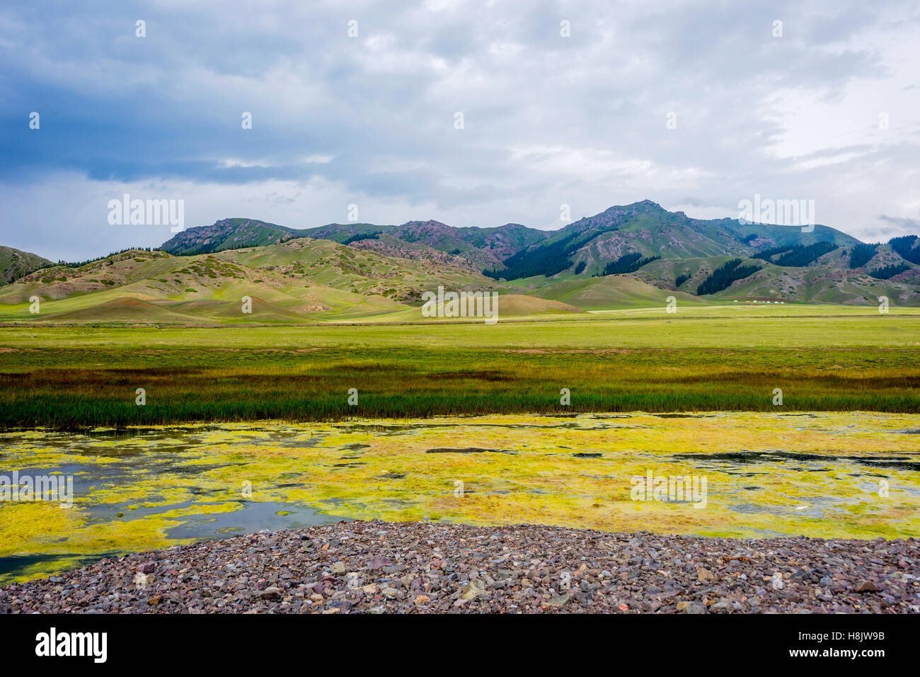 Spring xinjiang grassland hi-res stock photography and images - Alamy
